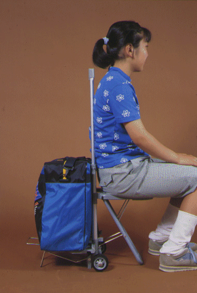 Chair Carry 8.2.html